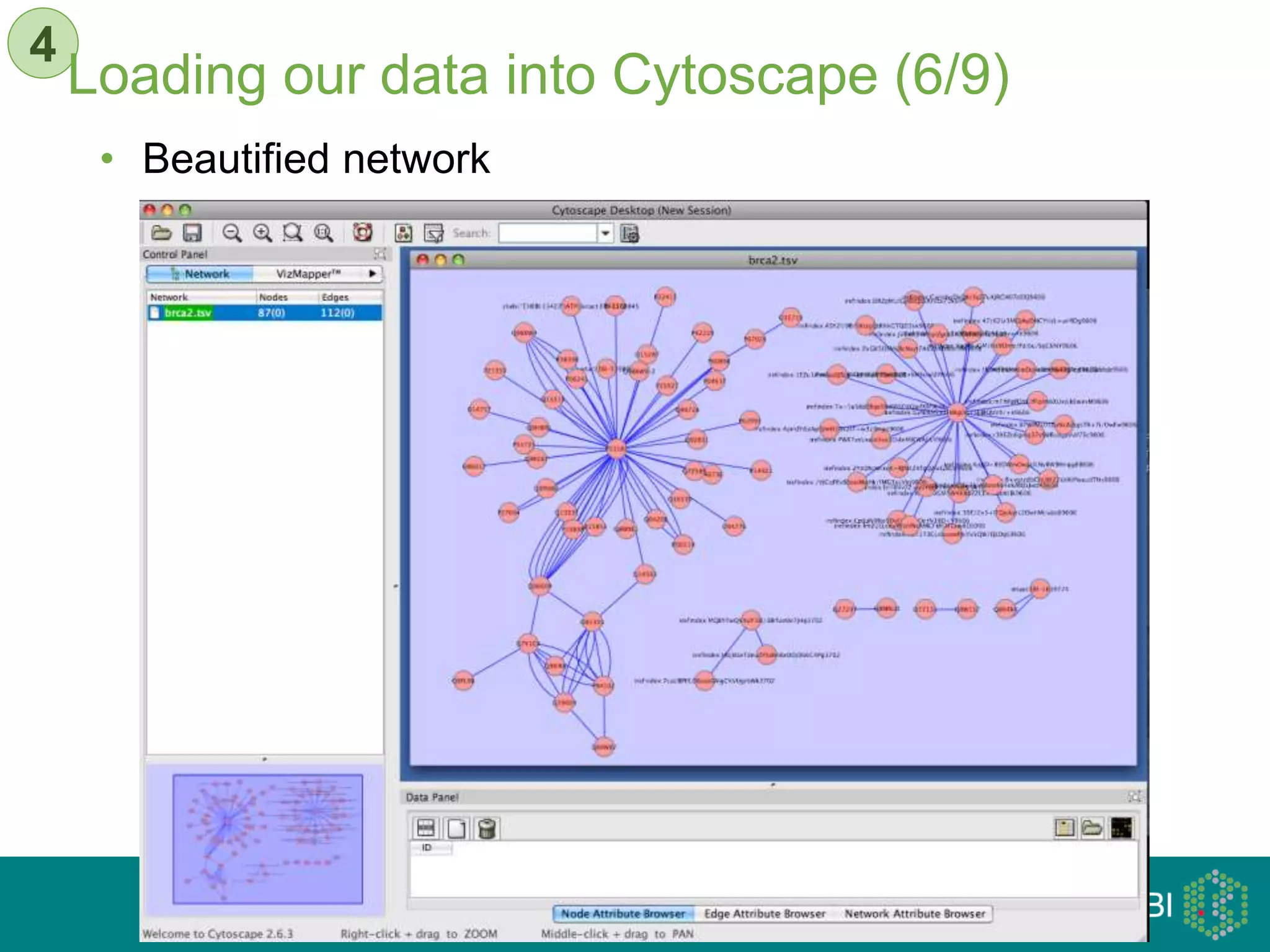 Psicquic tutorial | PPT