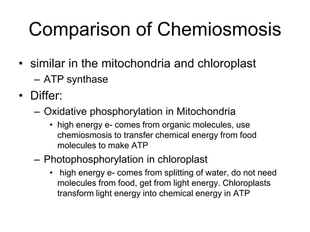 PSII and PSI.ppt | Chemistry | Science