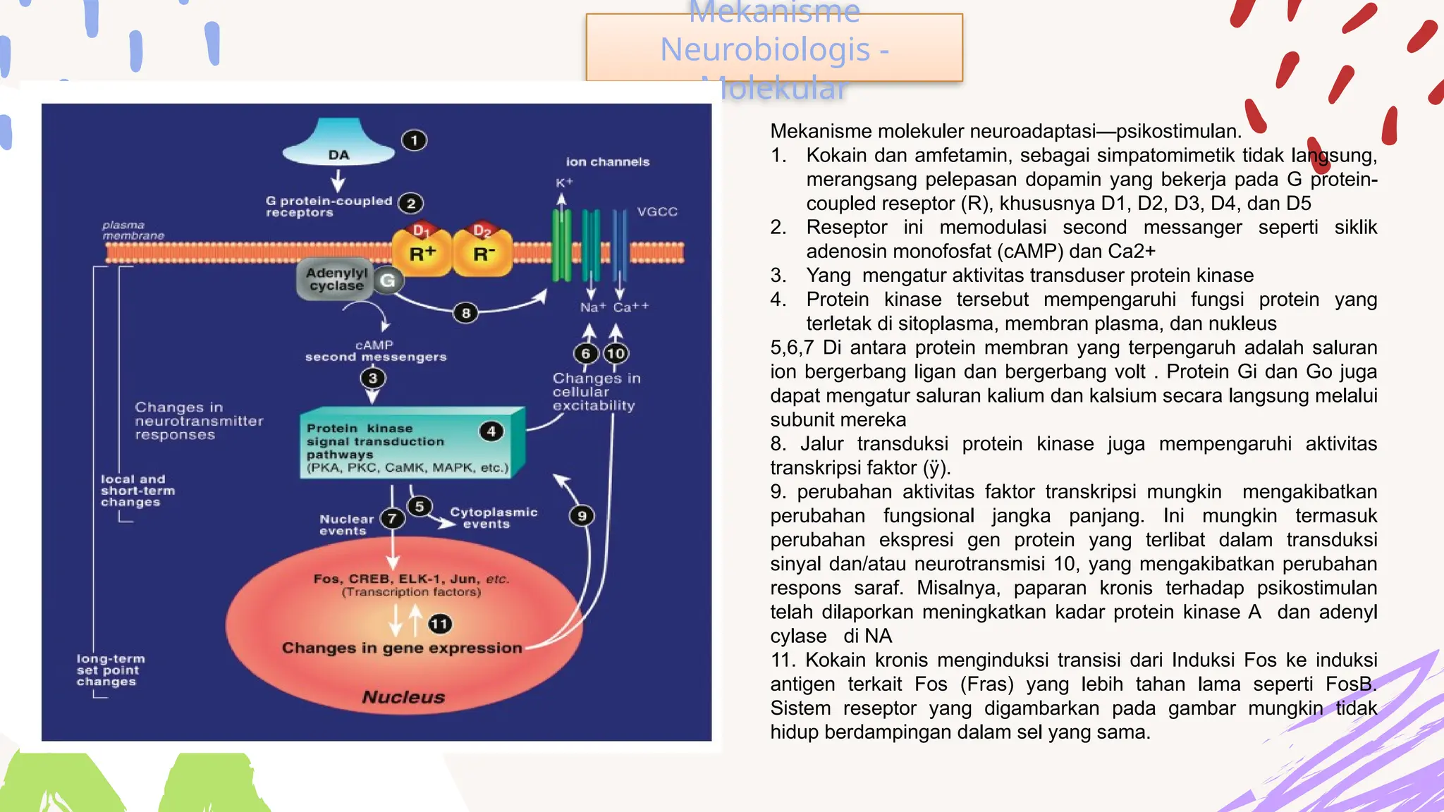 Psikiatri Adiksi Dewi. residen psikiatri | PPTX