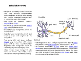 sistem saraf pusat | PPTX