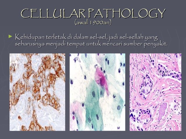 Psikologi Kesehatan Sesi 3 Ppt