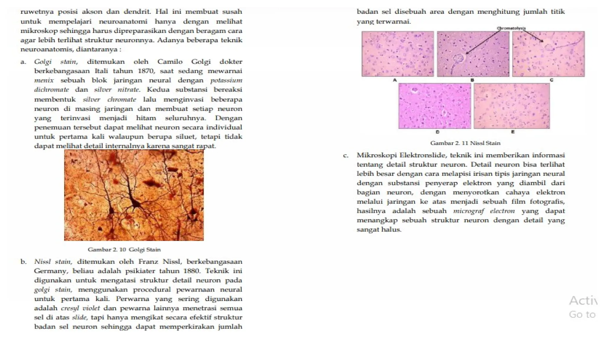 Psikologi faal bab 2 sistem syaraf, sel glia dan teknik arah neuroanatomis | PPT