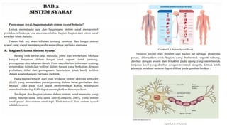 Psikologi faal bab 2 sistem syaraf, sel glia dan teknik arah neuroanatomis | PPT