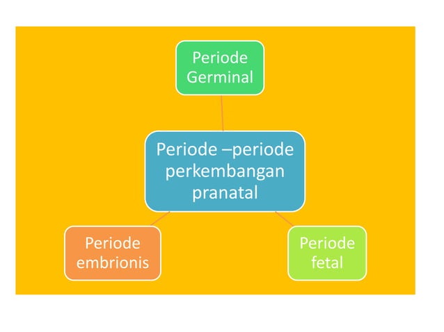 Periode-periode pranatal | PPTX