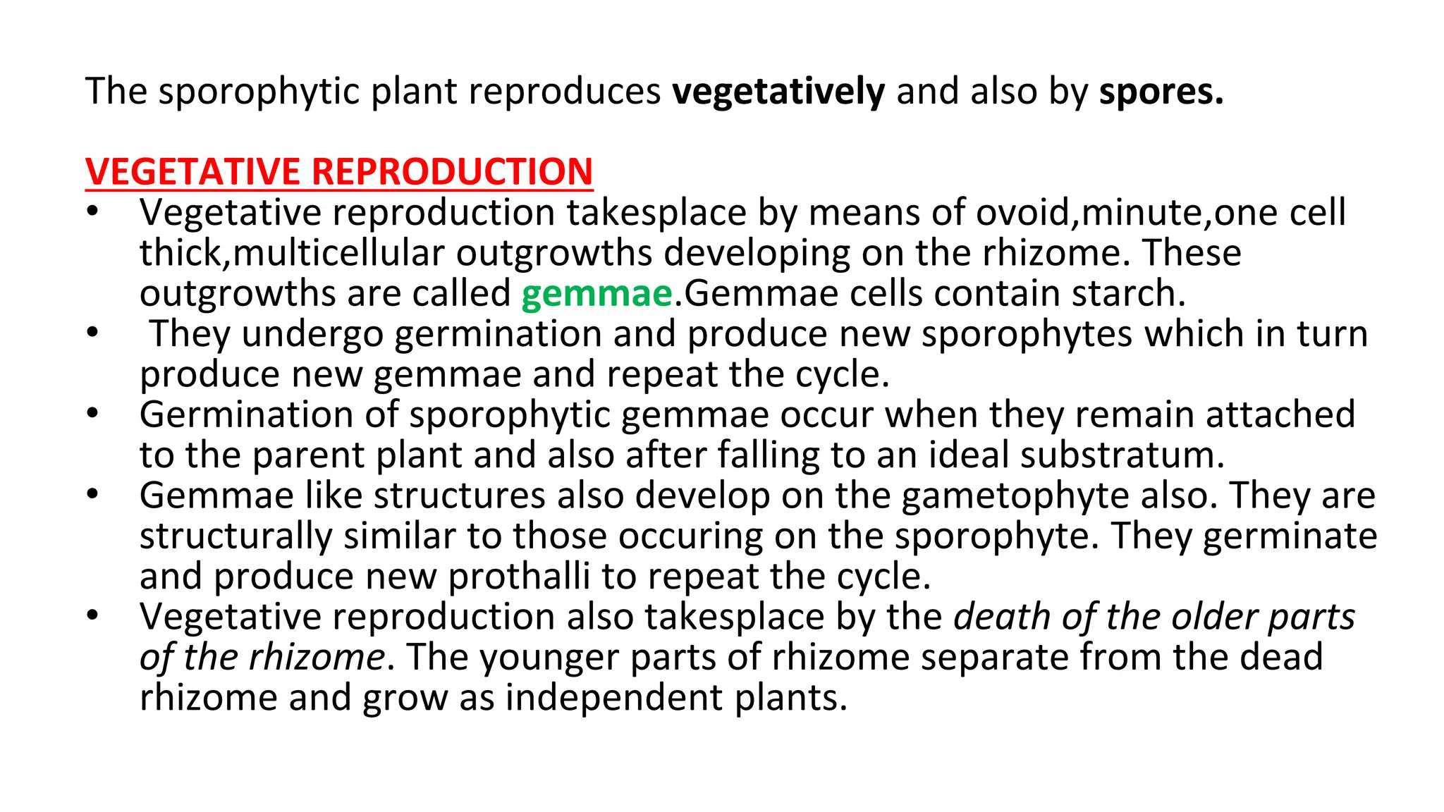 PSILOTUM : structure, morphology, anatomy, reproduction , life cycle ...