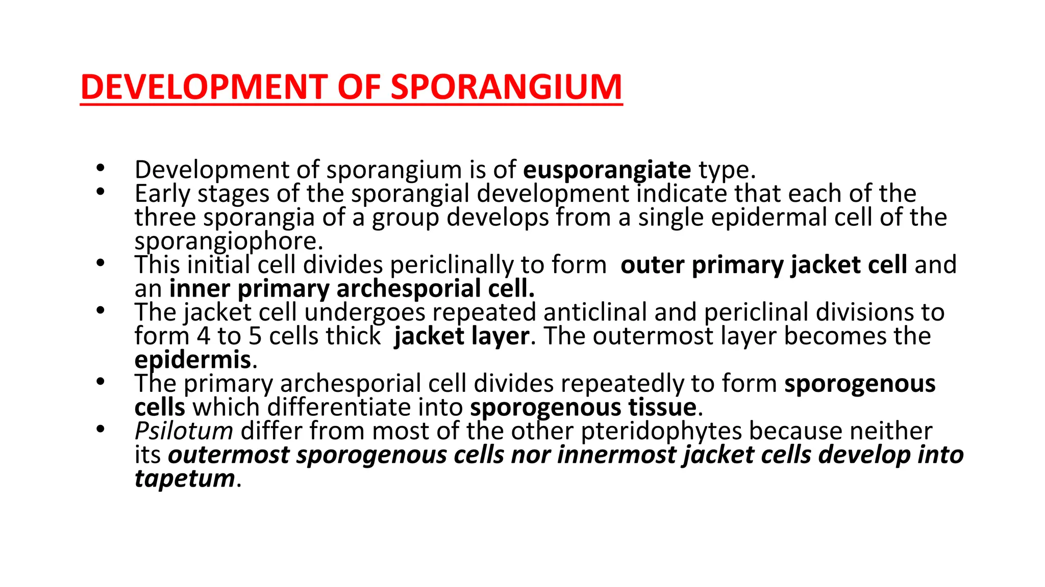 PSILOTUM : structure, morphology, anatomy, reproduction , life cycle ...