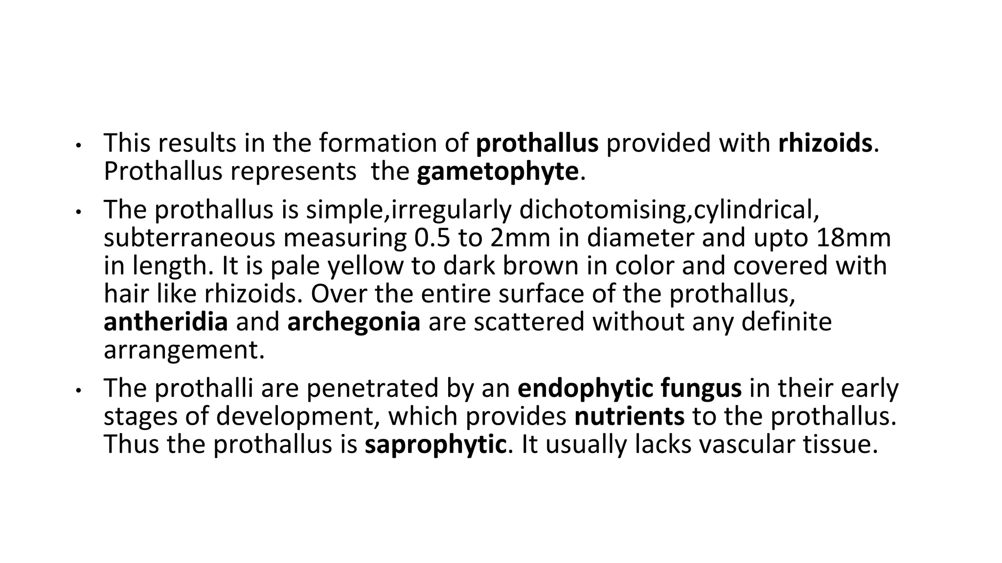 PSILOTUM : structure, morphology, anatomy, reproduction , life cycle ...