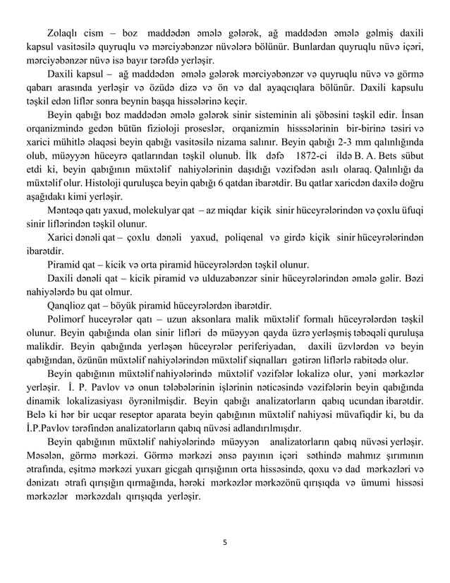 Assimetrik beyin | PDF