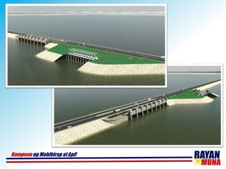 Save Laguna Lake! No to Expressway Dike Project! | PPTX