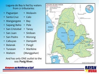 Save Laguna Lake! No to Expressway Dike Project! | PPTX
