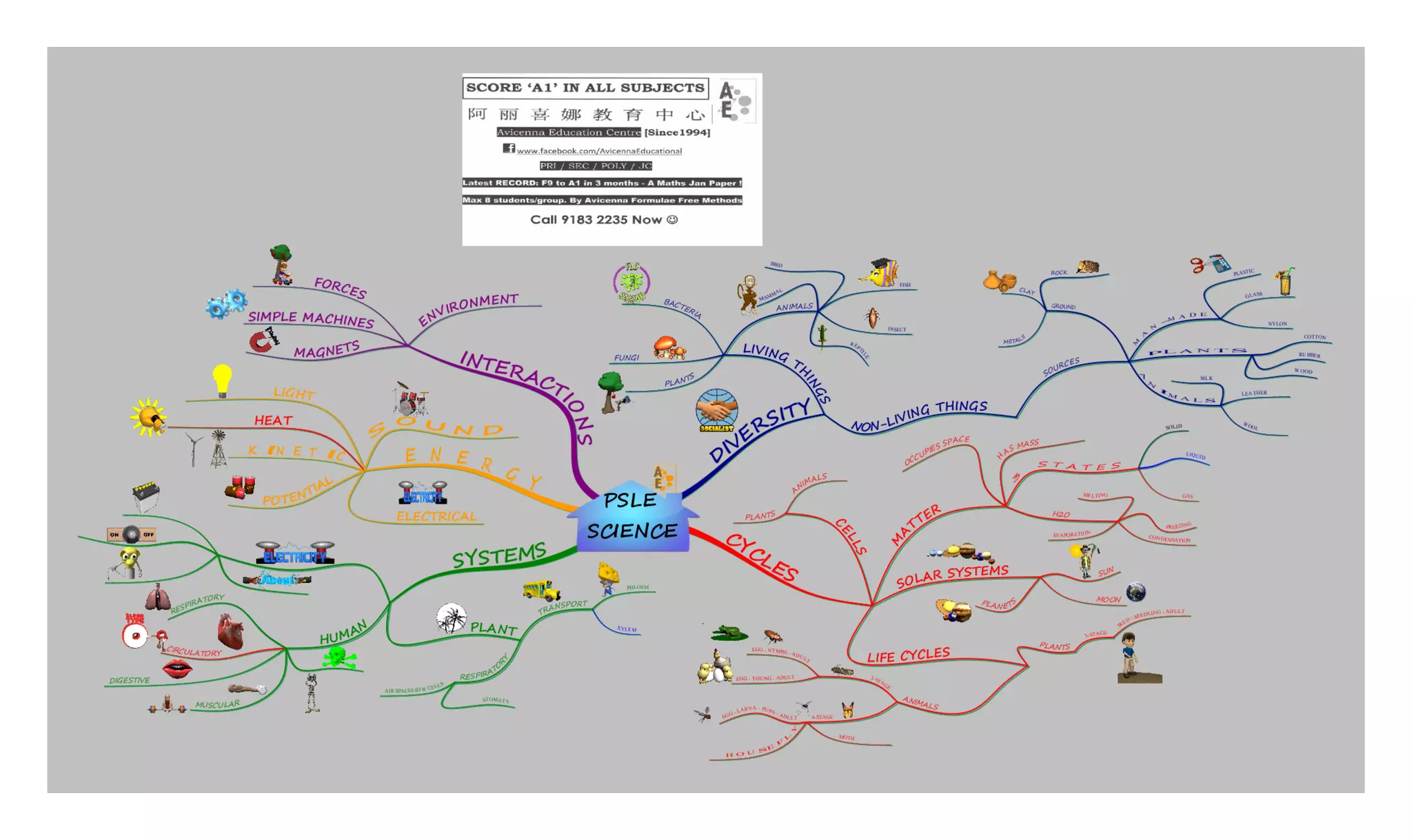Psle science 2011 | PDF