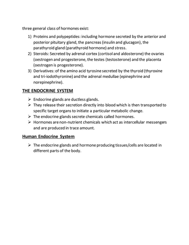 endocrine system | DOCX