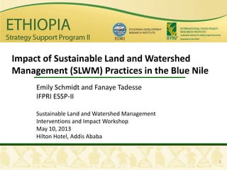 Impact of Sustainable Land and Watershed Management (SLWM) Practices in the Blue Nile | PPT