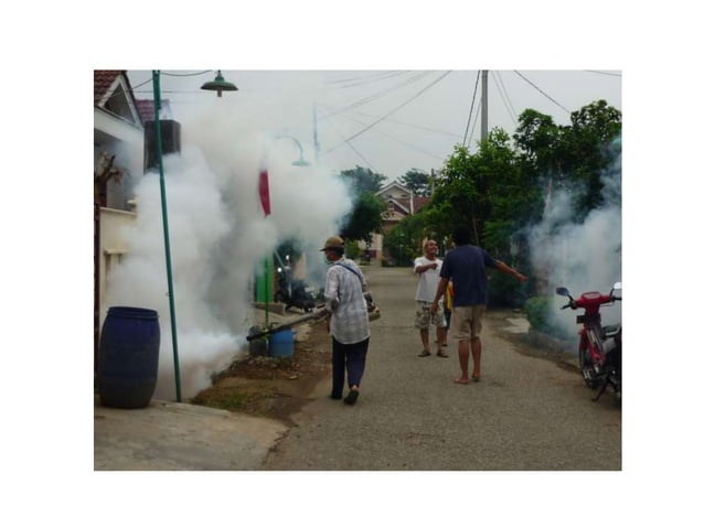 PEMBERANTASAN SARANG NYAMUK ( PSN ) DENGAN FOGGING | PPTX