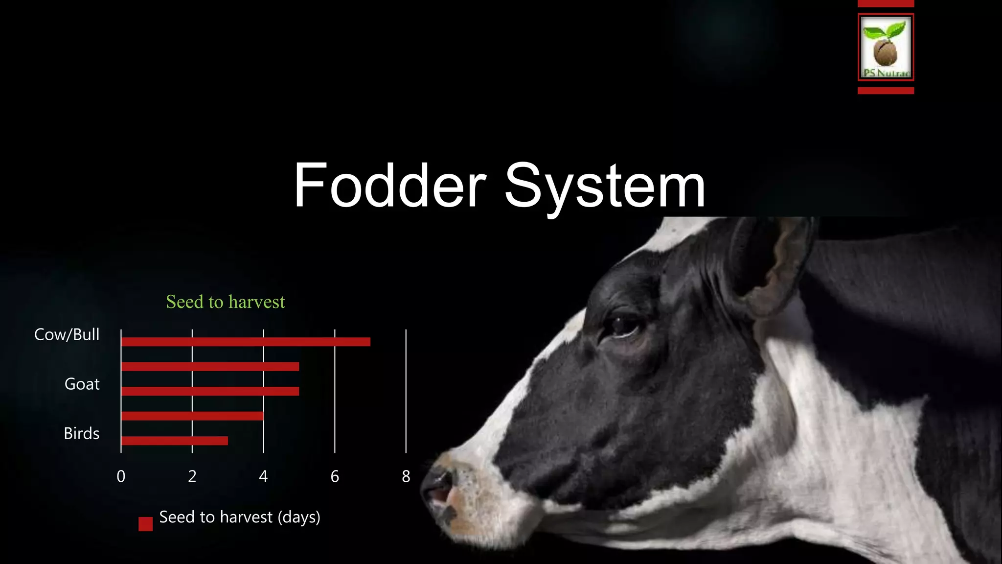 Fodder system: Growing animal feed in 7 days without soil | PPT