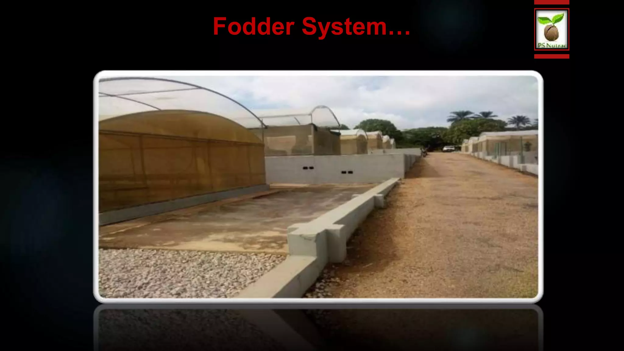 Fodder system: Growing animal feed in 7 days without soil | PPT