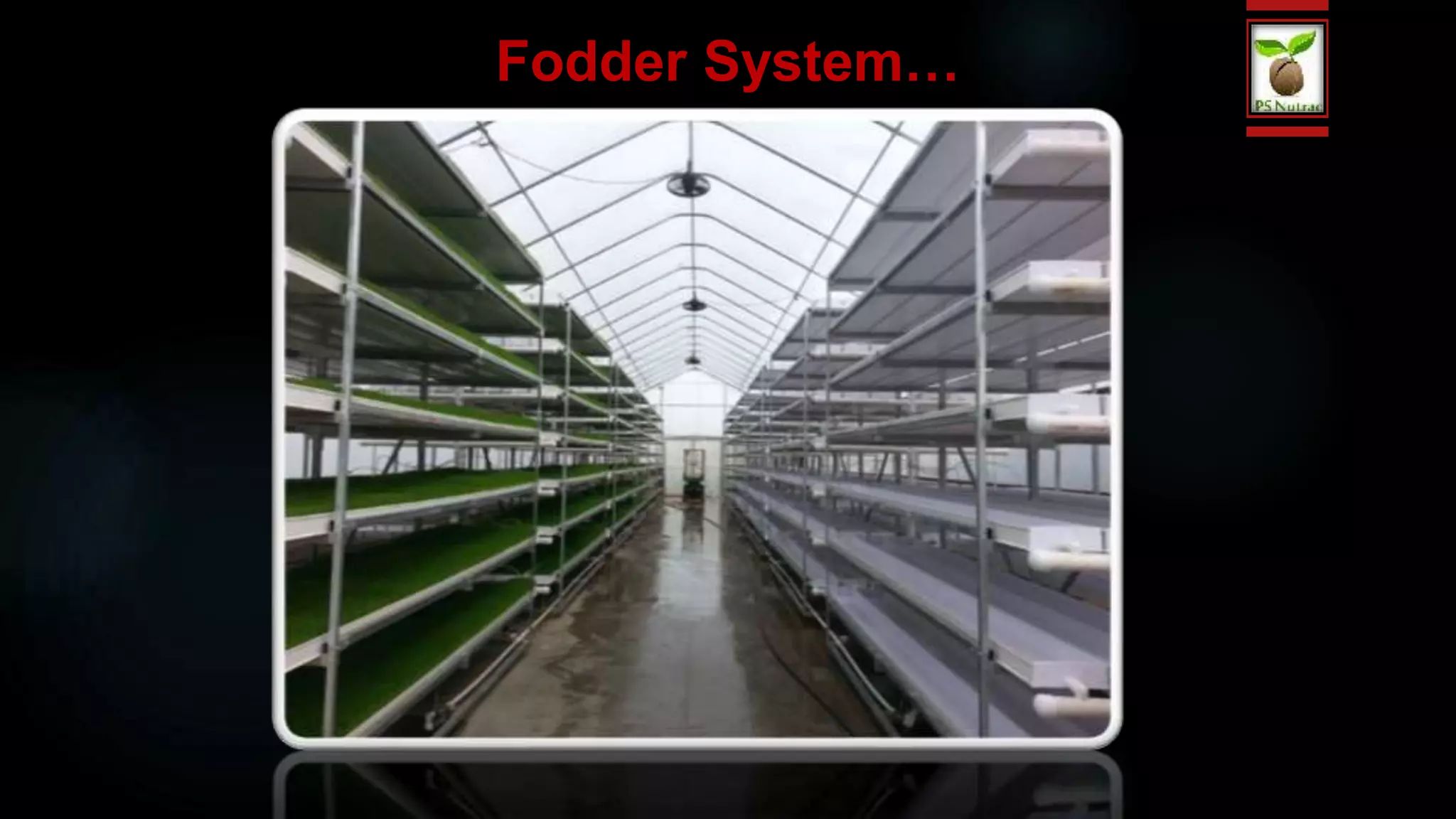 Fodder system: Growing animal feed in 7 days without soil | PPT