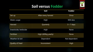 Fodder system: Growing animal feed in 7 days without soil | PPT
