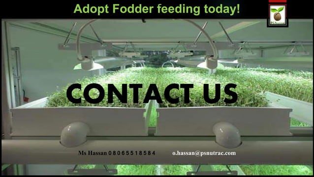 Fodder system: Growing animal feed in 7 days without soil | PPT