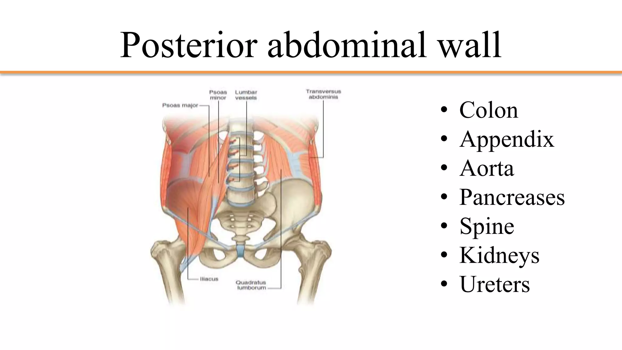 Psoas absces | PPTX