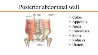 Psoas absces | PPTX