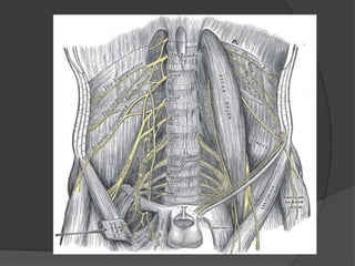 Psoas abscess | PPTX