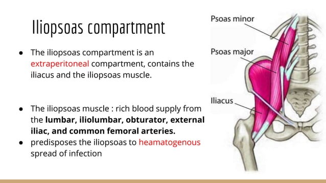 Psoas abscess | PPTX | Digestive Disorders | Diseases and Conditions