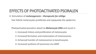 Psoralen.pptx