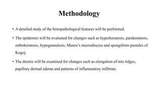 PSORIASIFORM DERMATITIS.pptx