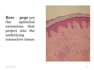 Psoriasis (dermatology) | PPT