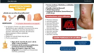 PSORIASIS, PITIRIASIS ROSADA Y LIQUEN EXPO.pdf.pdf