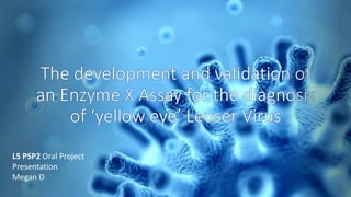 PSP2 Oral Project Presentation Slides | PPTX