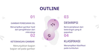 POWER POINT TEXT RESPONSI ANATOMI TUMBUHAN.pptx