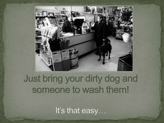 PSP Dog Wash | PPT | Free Download