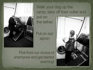 PSP Dog Wash | PPTX