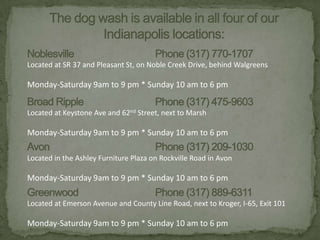 PSP Dog Wash | PPTX