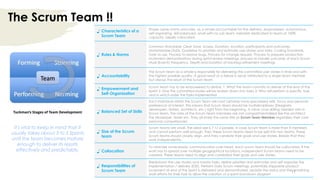 PSPO(Scrum Product Owner) Preparation Quick Guide.pdf