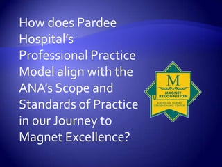 Professional Standards of Practice and Performance | PPSX
