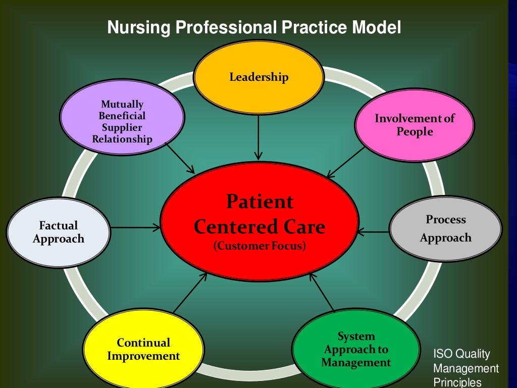 Professional Standards of Practice and Performance