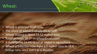 Agriculture.pptx