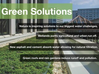 Pspsb water blues green solutions | PPT