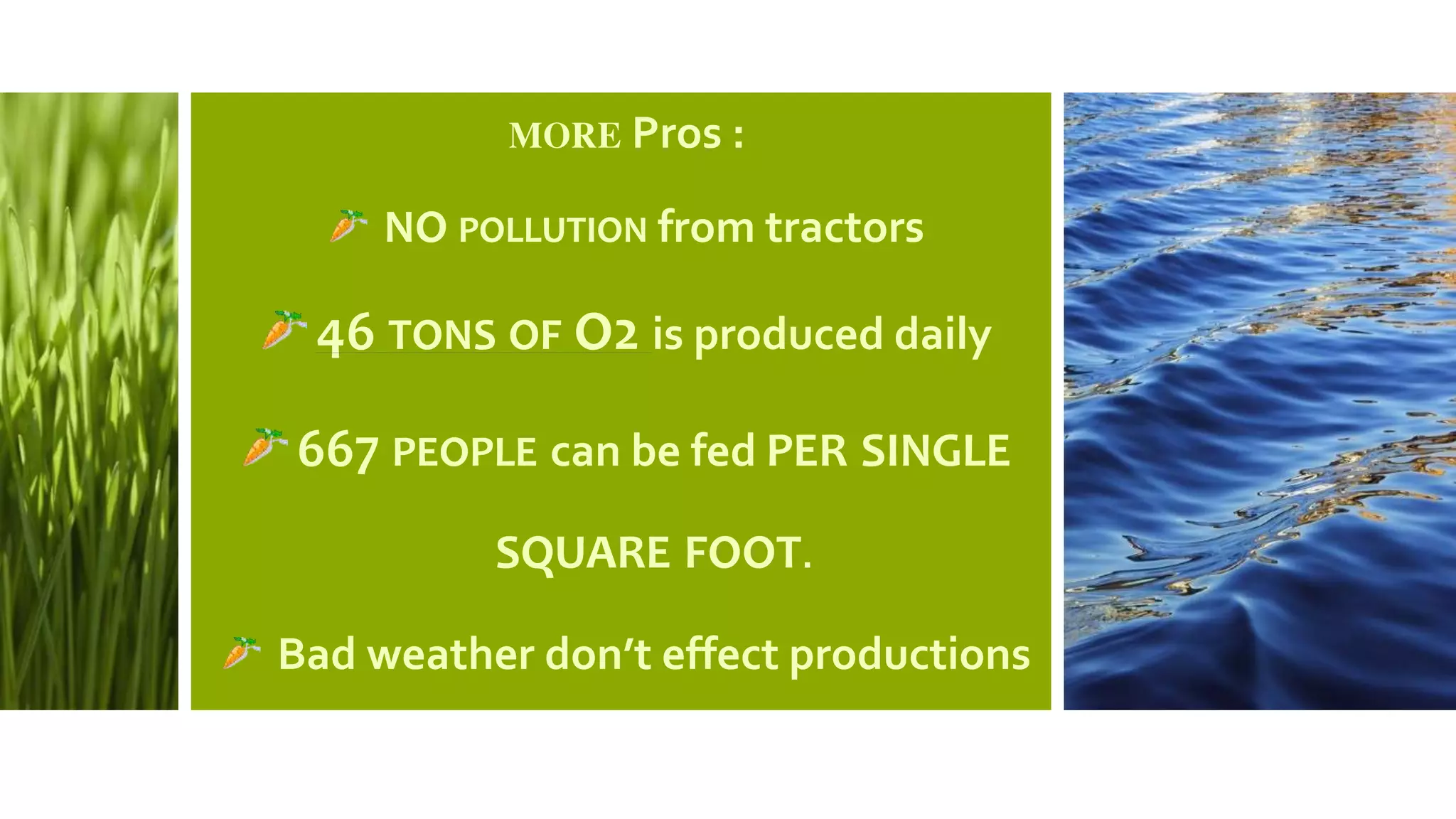 Solution for Long Drought | PPTX