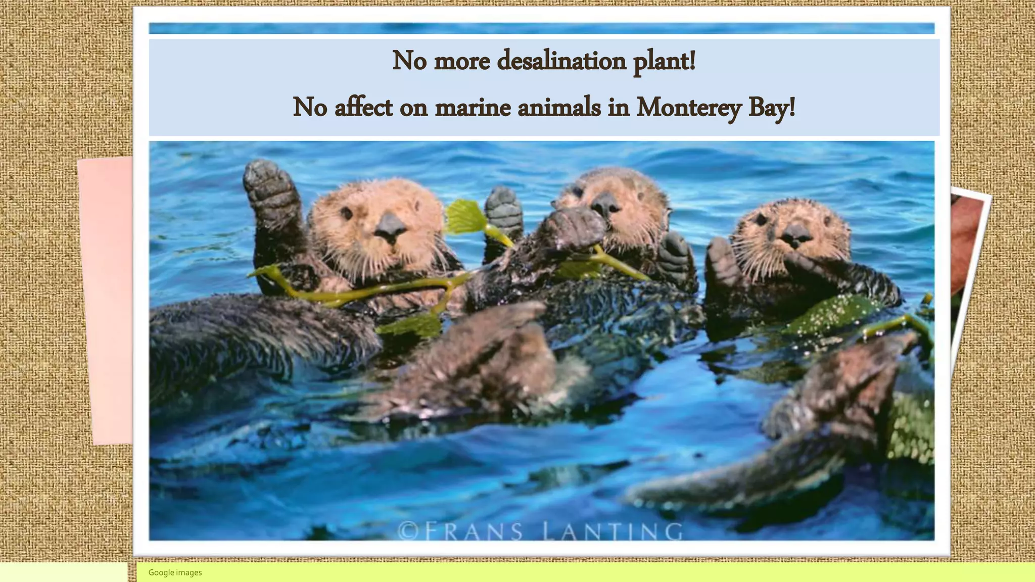 Solution for Long Drought | PPTX