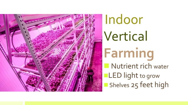 Solution for Long Drought | PPTX