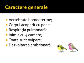 Păsări | PPTX