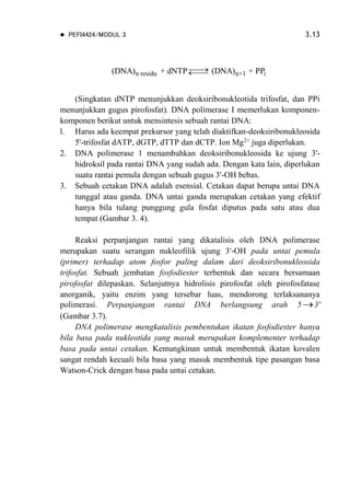 modul-3-strukturdan-fungsi-dna-dan-rna1.pdf