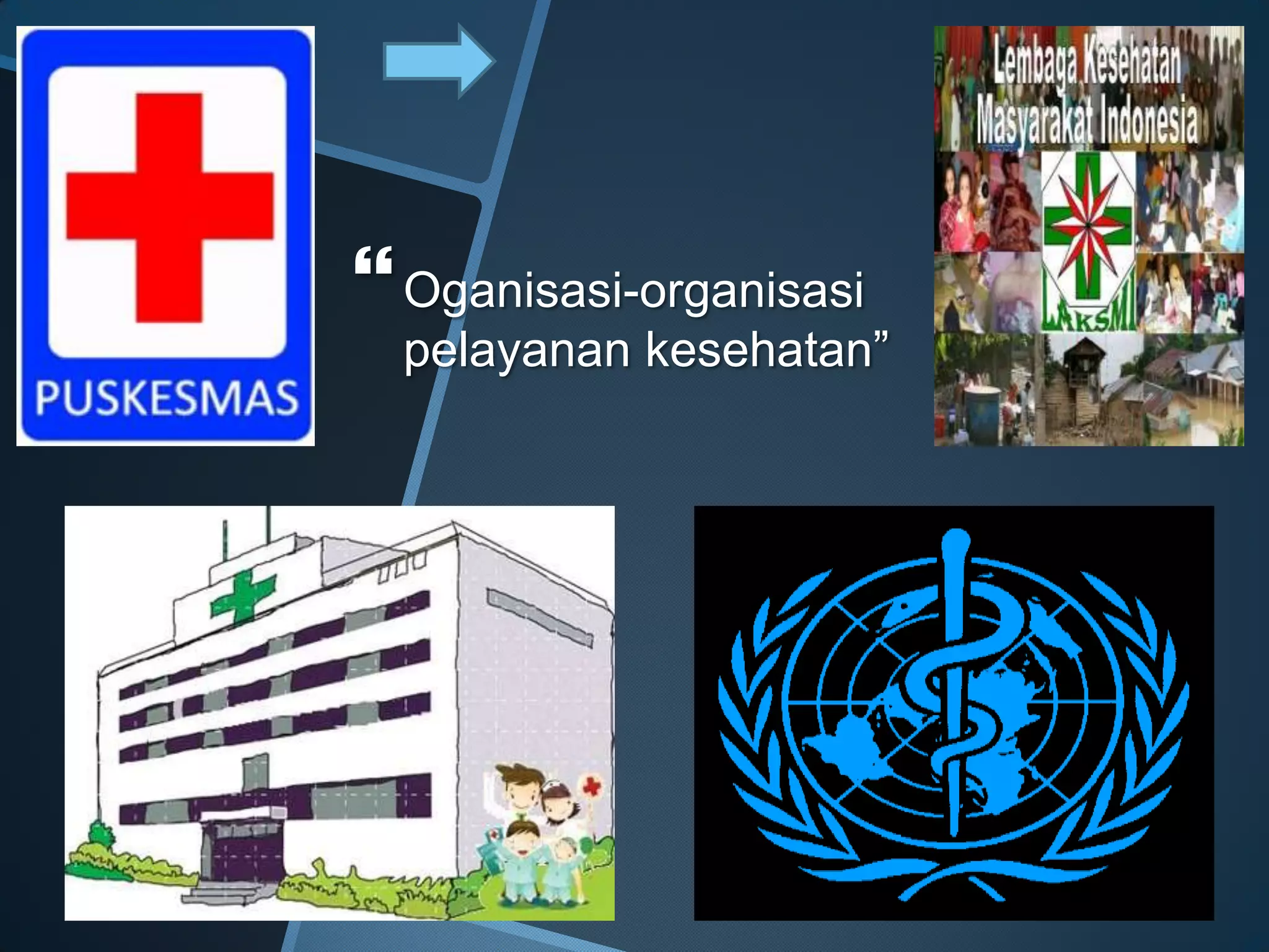 Organisasi Pelayanan Kesehatan | PPTX