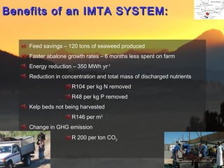 INTEGRATED SEAWEED/ABALONE MULTITROPHIC RECIRCULATING AQUACULTURE (IMTA ...