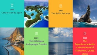 Particularly Sensitive Sea Areas | PPTX