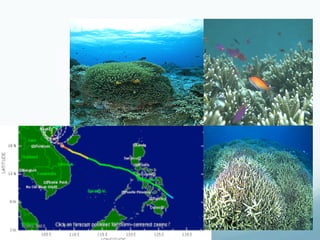 Geopolitical Quandaries in the South China Sea: Options for the Philippines, China and the US | PDF